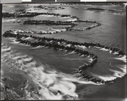 Beyond Heritage – Dark Emu