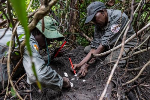 Beyond Heritage – Returning & Managing Country 2021-2022