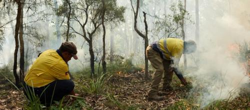 Beyond Heritage – Cultural Fire Credits