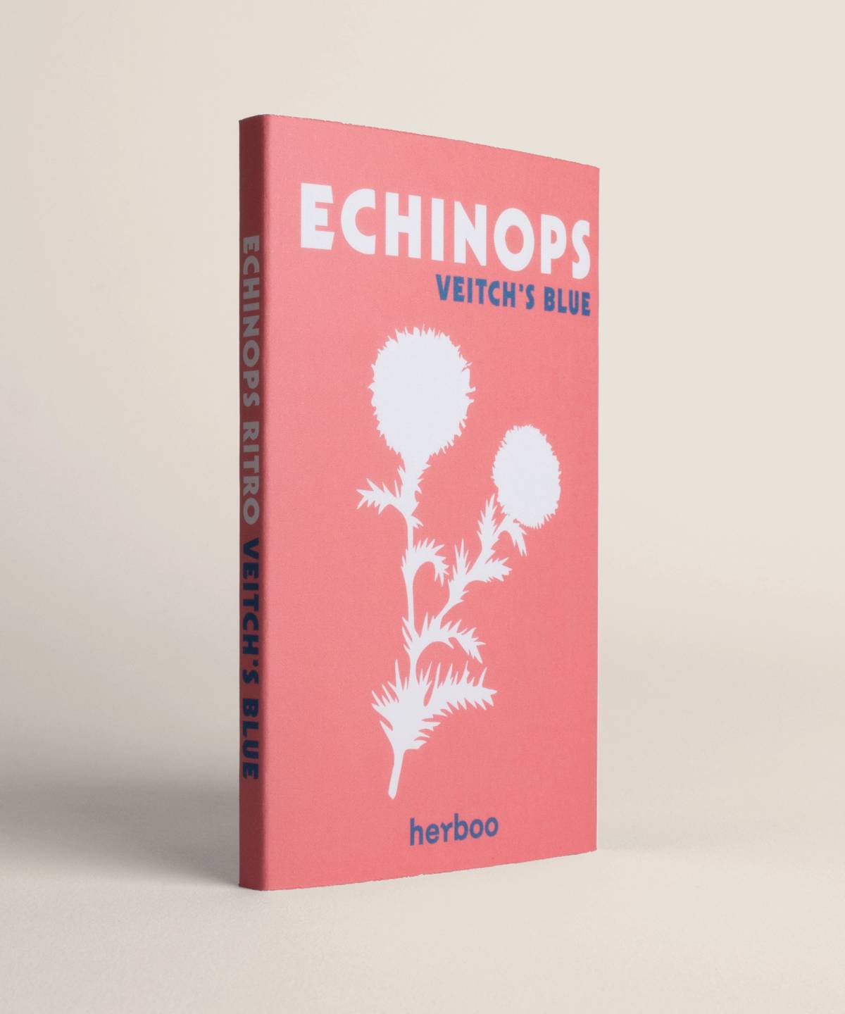 Echinops 'Blue Veitch' | Globe Thistle | Flower Seeds