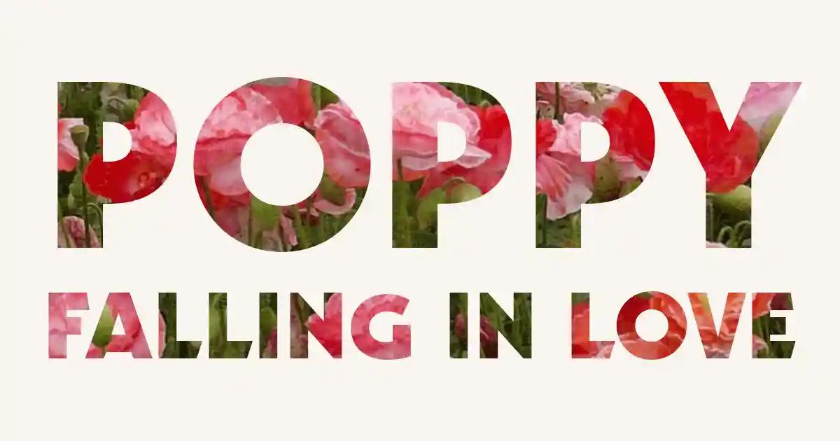 Poppy 'Falling in Love' Seeds | Papaver Rhoeas