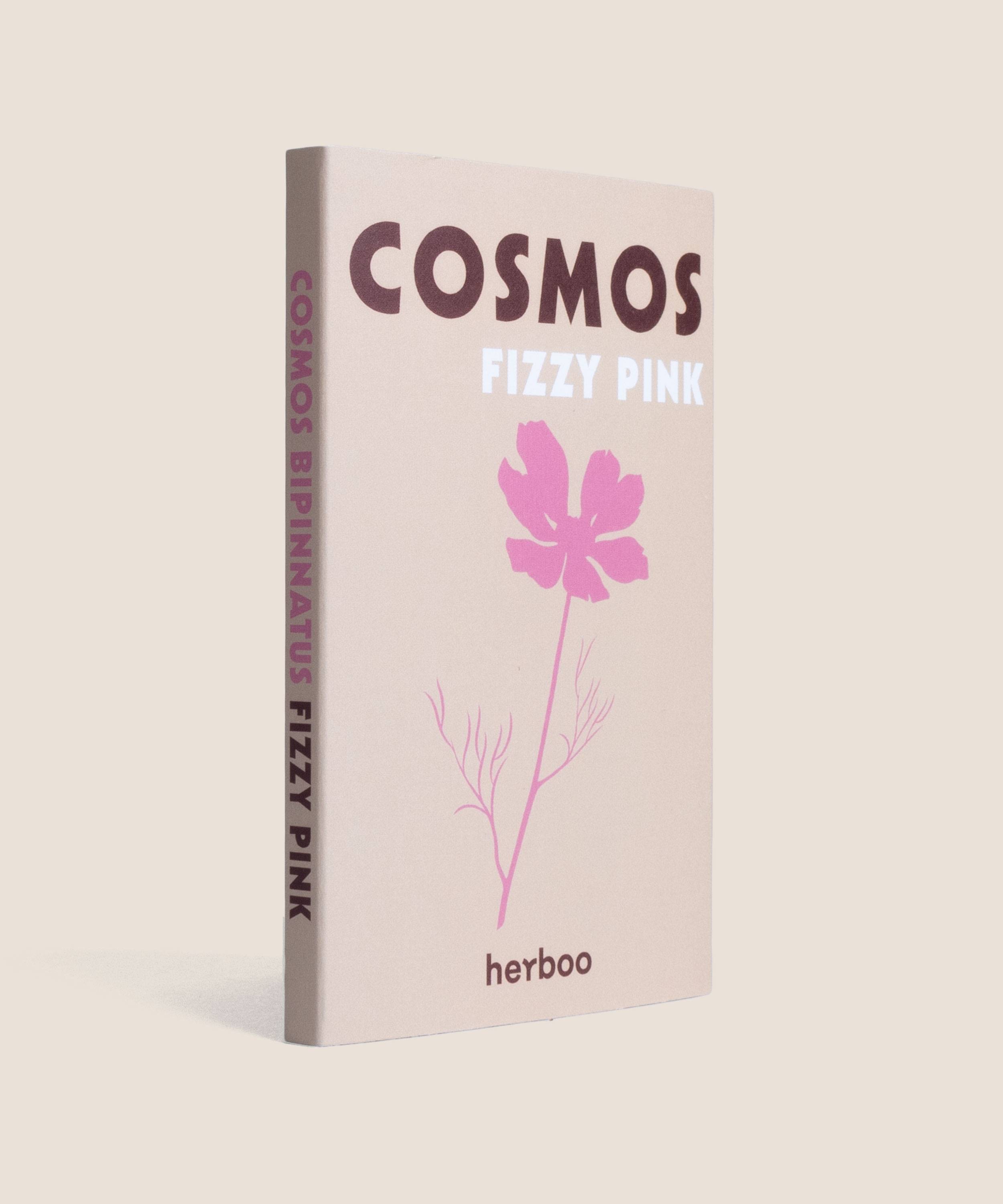 Cosmos Fizzy Pink Seeds | Cosmos Bipinnatus