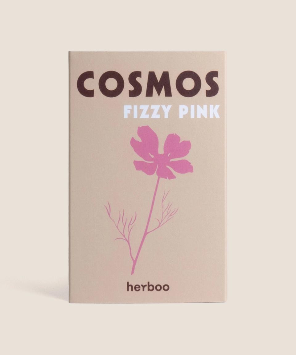 Cosmos bipinnatus ‘Fizzy Pink’ Seeds | Cut Flowers | Herboo
