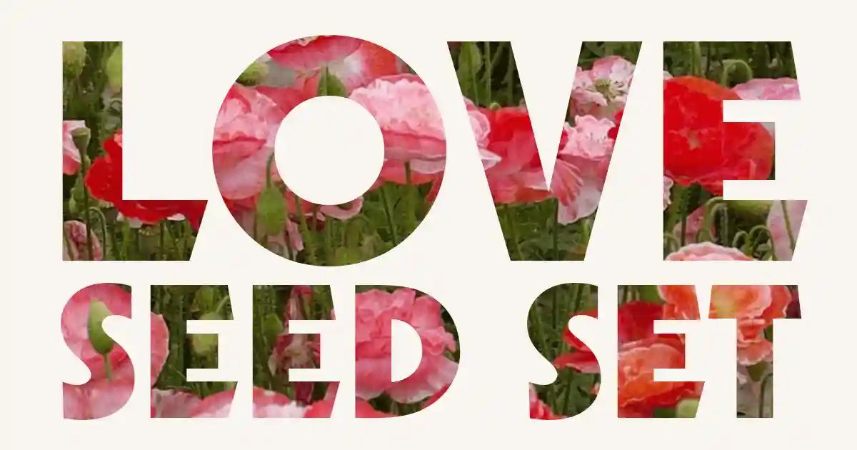 Love Seed Set | Gift Seed Sets