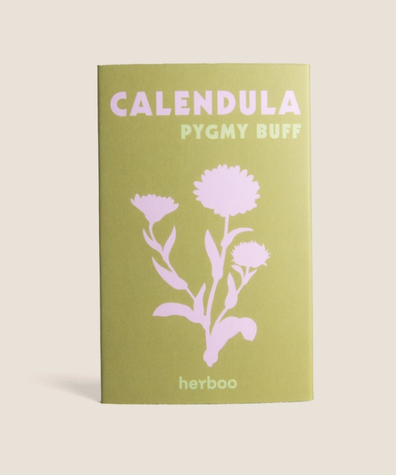Calendula 'Pygmy Buff' Seeds | Compact Edible Flowers | Herboo