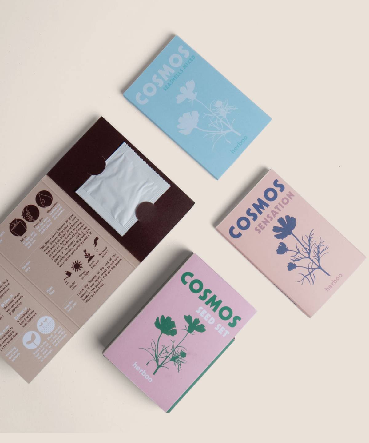 Cosmos Seed Set | Gift Seed Sets