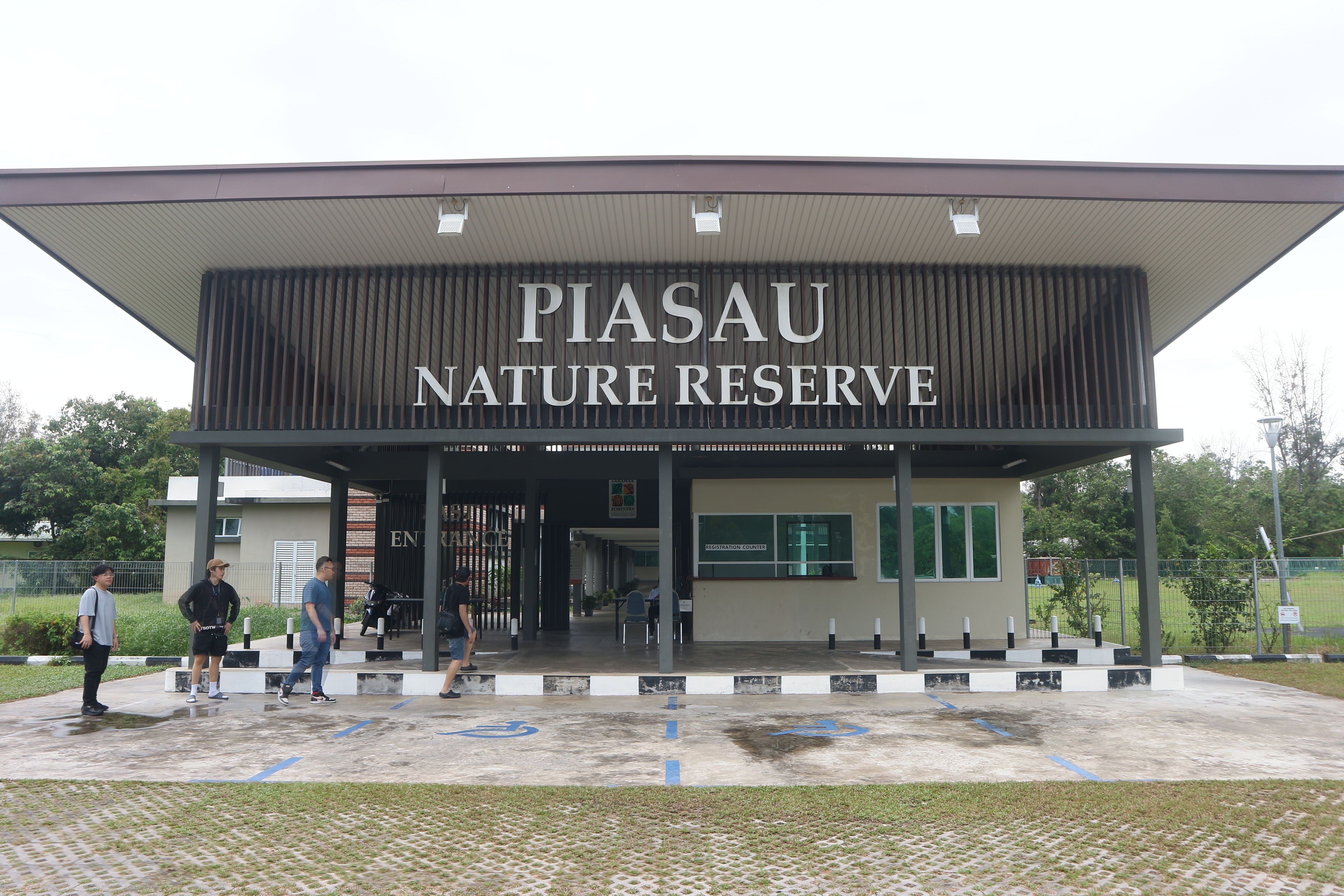 Miri Piasau Nature Reserve: Discover Hornbill Sanctuary & Green Oasis ...