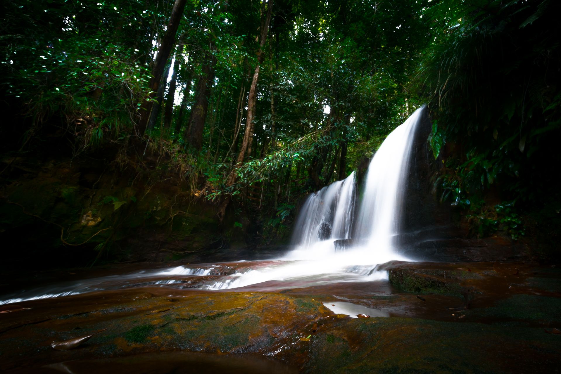 Lambir National Park: Hiking, Waterfalls, and Wildlife Adventures ...