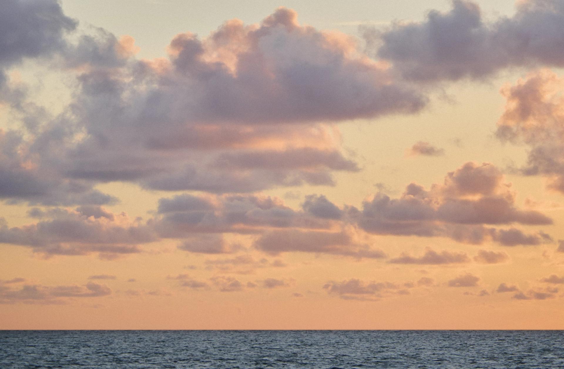 The Shore Club Private Collection