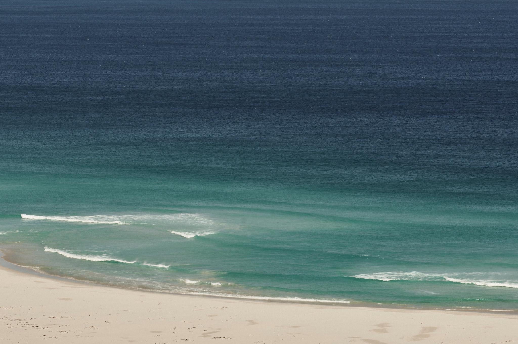 The Shore Club Private Collection