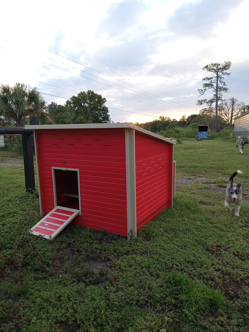 Chicken Coop Checklist