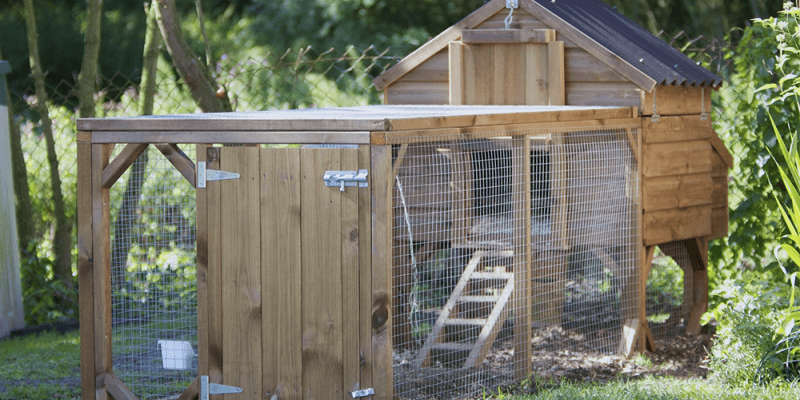 Chicken Coop Checklist