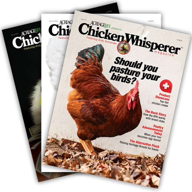 Chicken Whisperer | Your Ultimate Guide to Raising Chickens