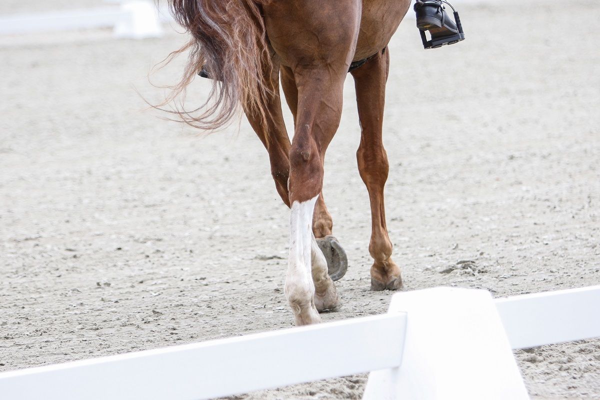 Folk tar fri fra jobben og drar