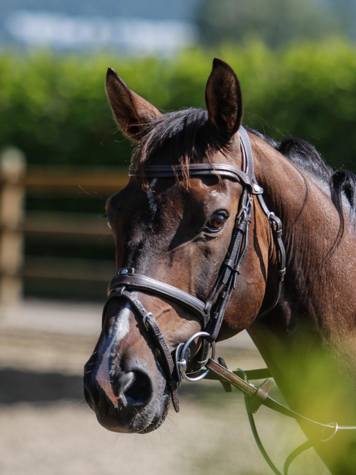 Uttak Stockholm for U25