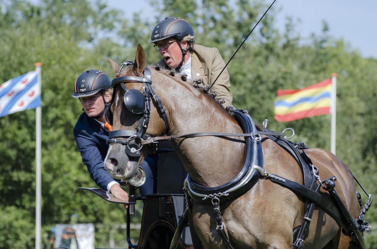 Vel tilbakelagt maraton