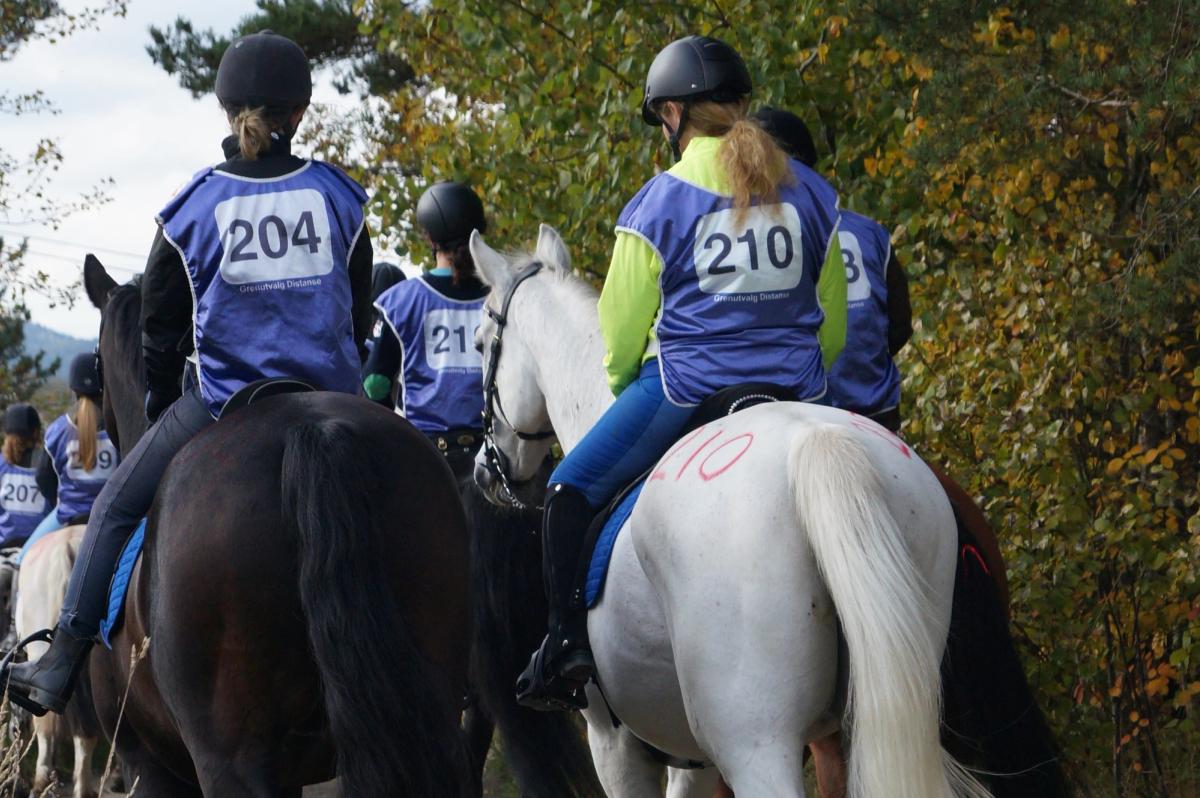 Ny cup for voksne ryttere