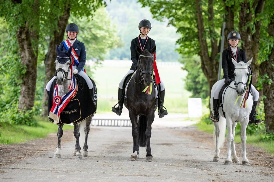 Se medaljevinnerne her