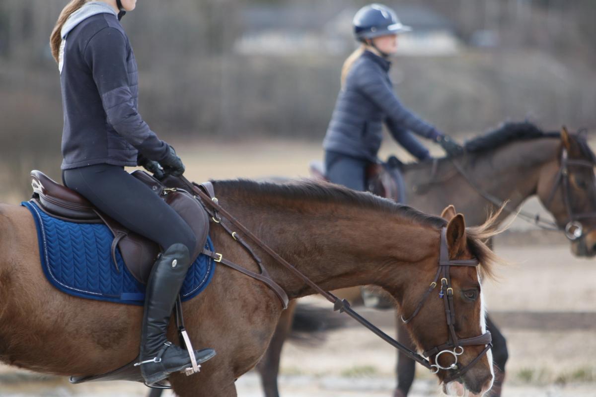 Samling for junior og unge ryttere