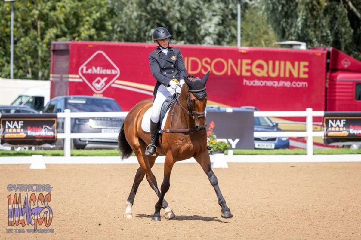 Dressuren vel overstått i Lion d’Angers