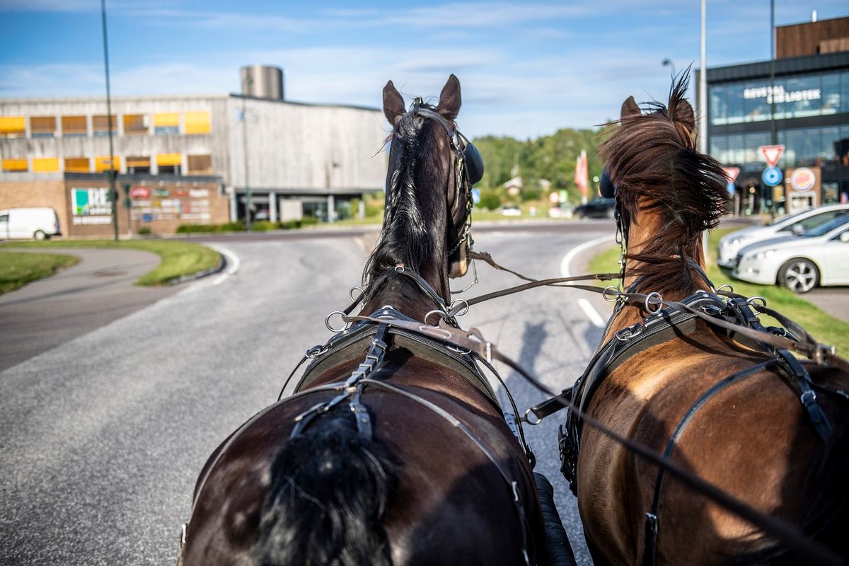 Huskeliste for ridning og kjøring med hest i trafikken