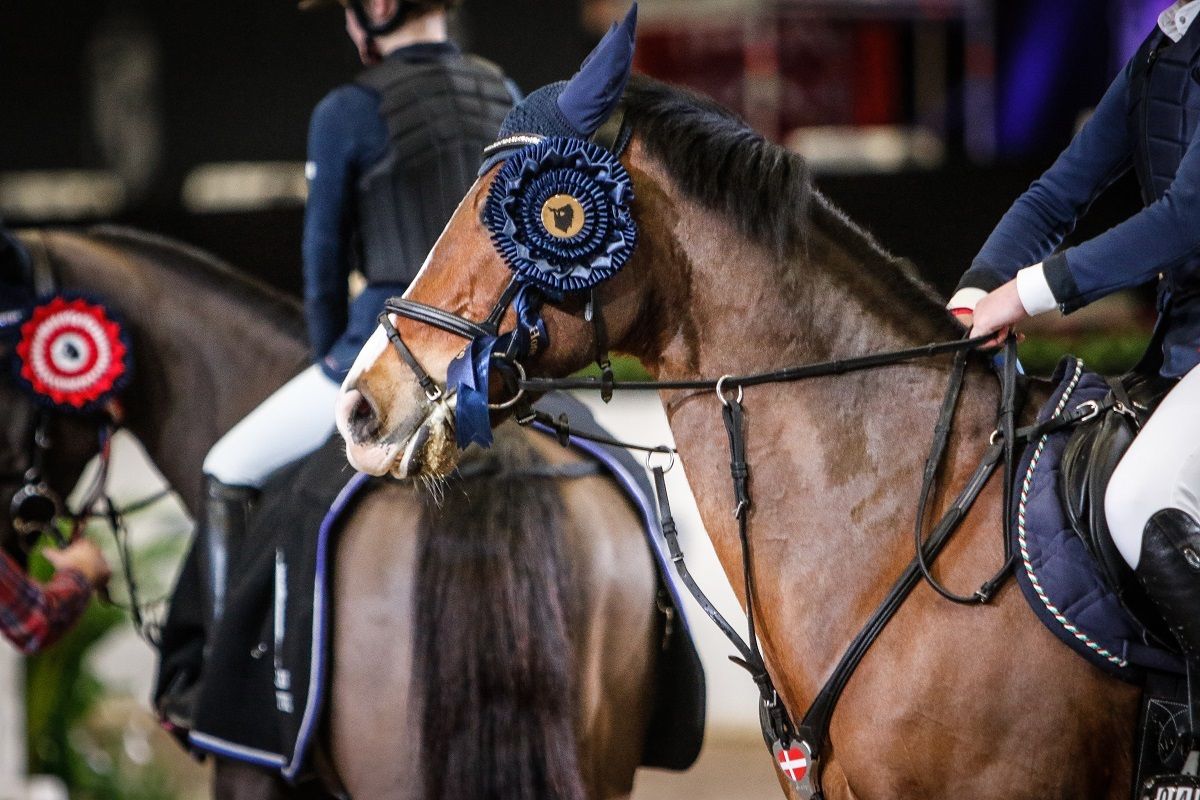 Skedsmo Rideklubb et hestehode foran i Promotion Cup