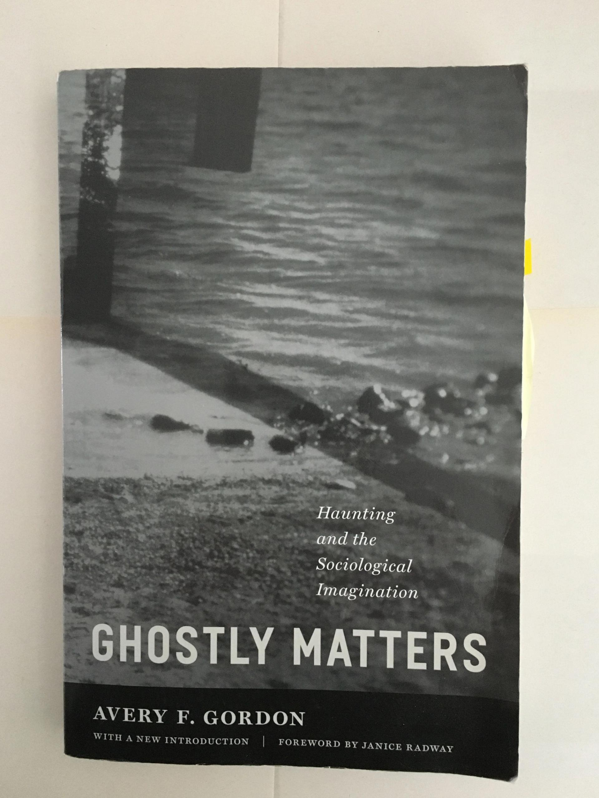 Ghostly Matters: Haunting and the Sociological Imagination