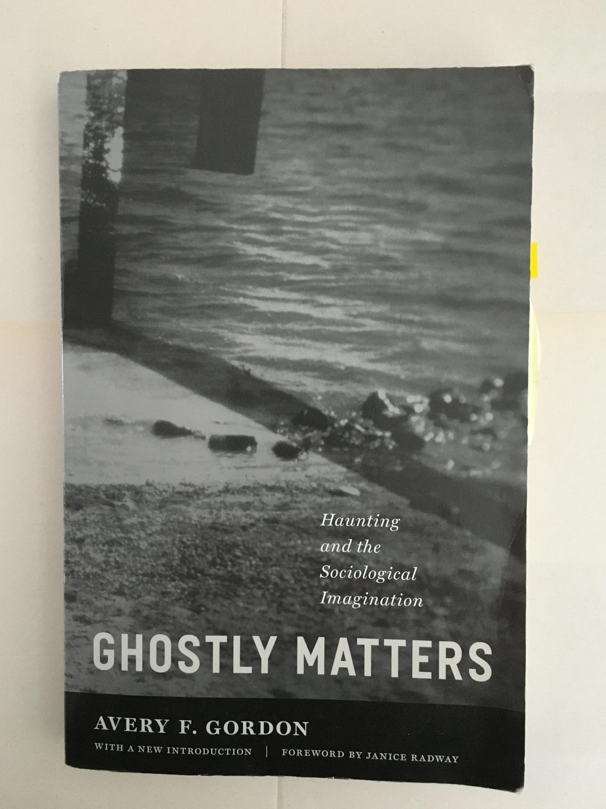 Ghostly Matters: Haunting and the Sociological Imagination