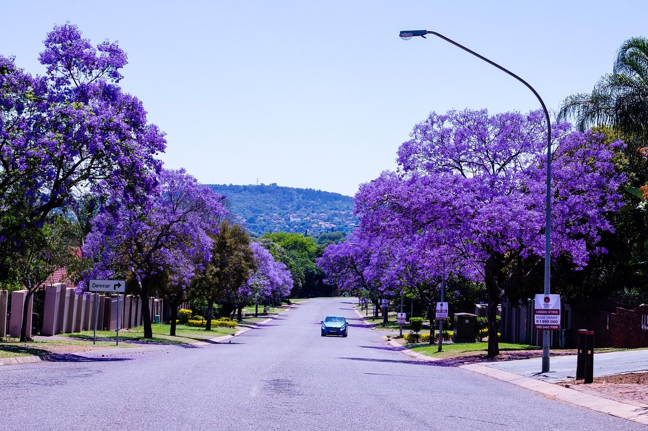 Gauteng Dominates South Africa’s GDP Rankings