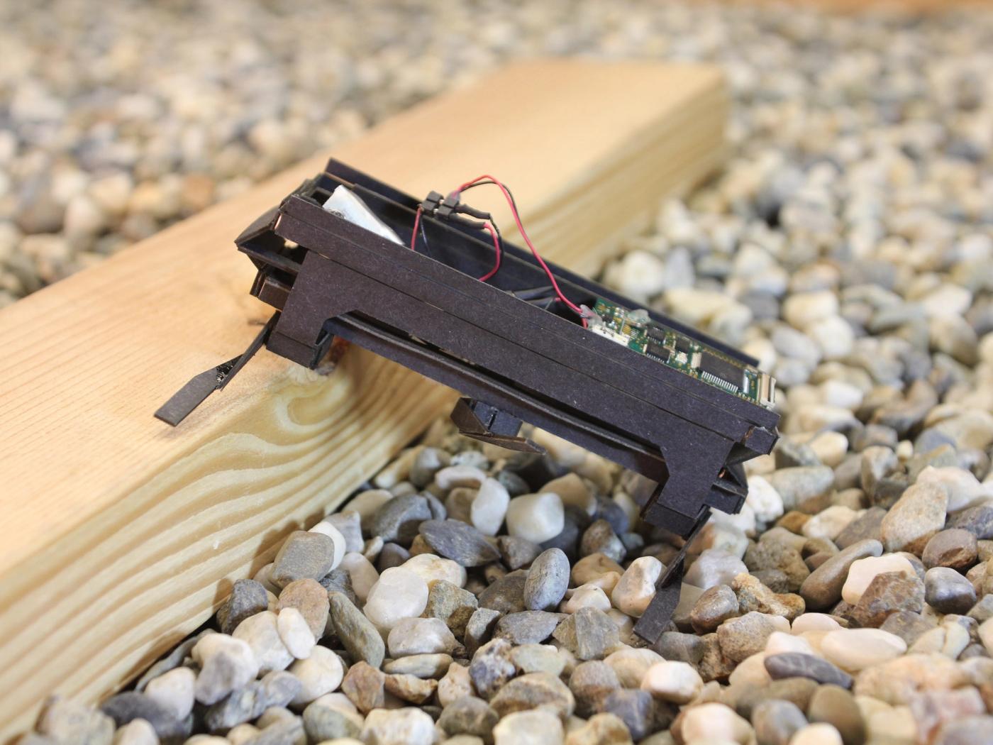 DASH - ROBOTS: Your Guide to the World of Robotics