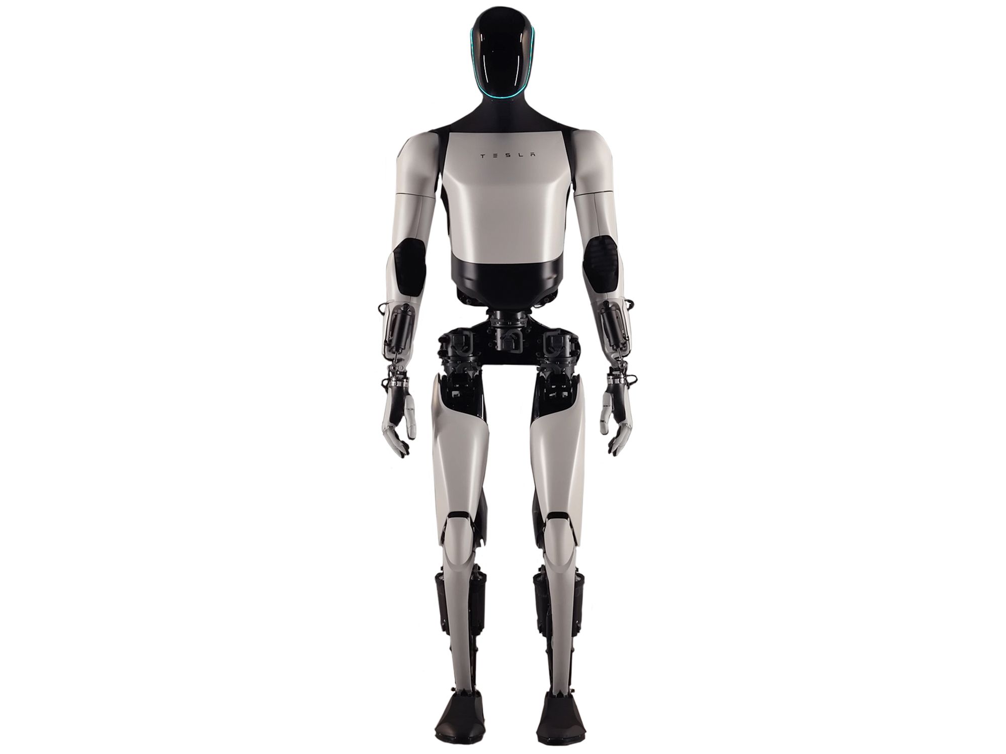 Optimus (Tesla Bot) - ROBOTS: Your Guide to the World of Robotics