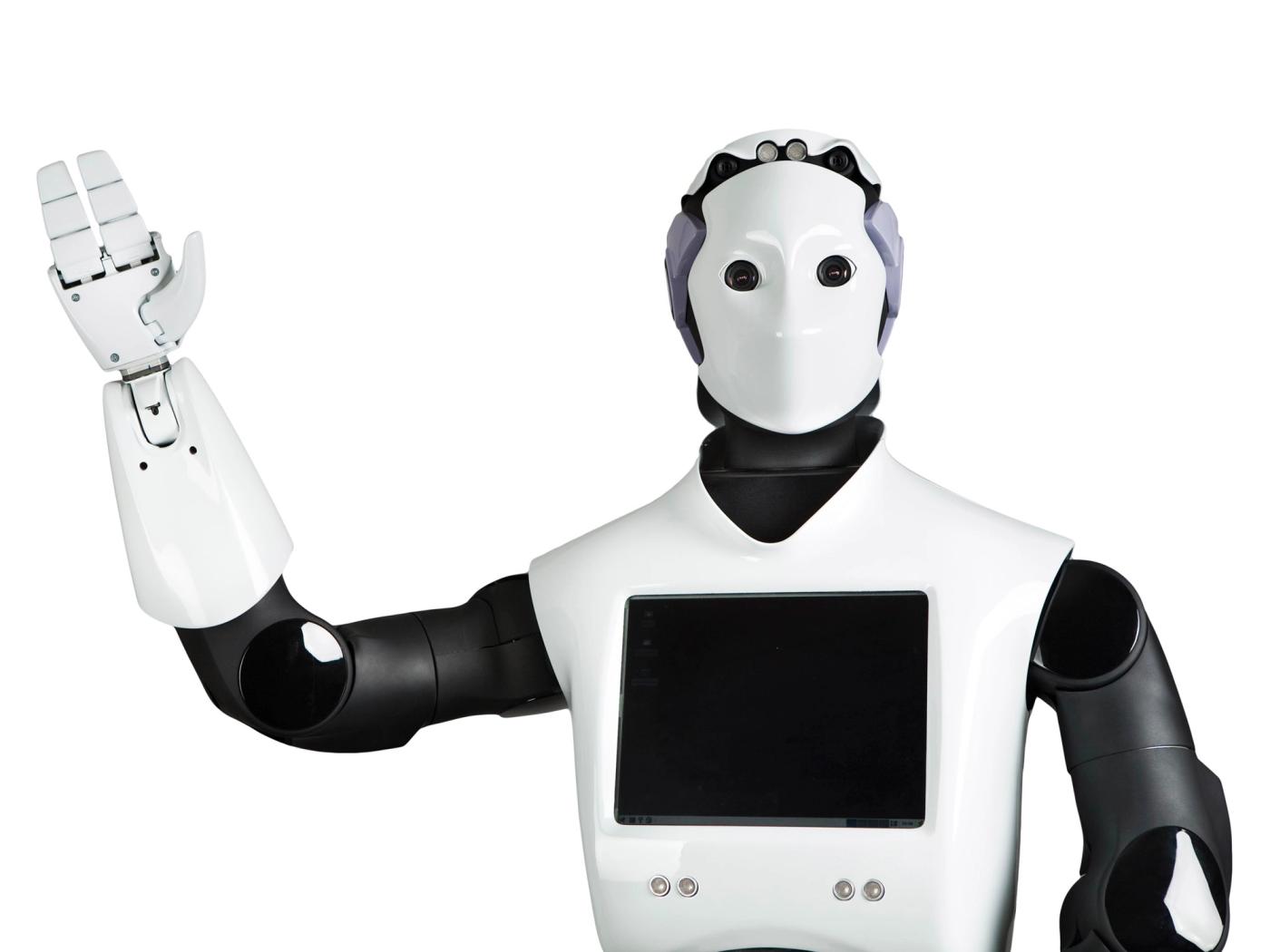 REEM-B - ROBOTS: Your Guide to the World of Robotics