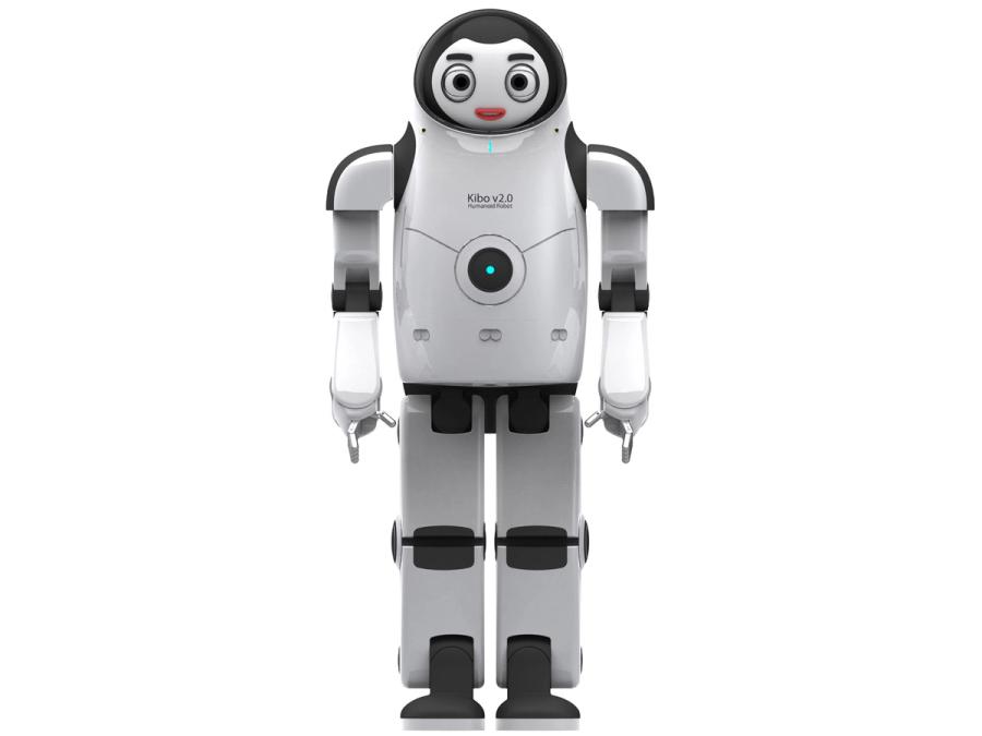 FLASH - ROBOTS: Your Guide to the World of Robotics