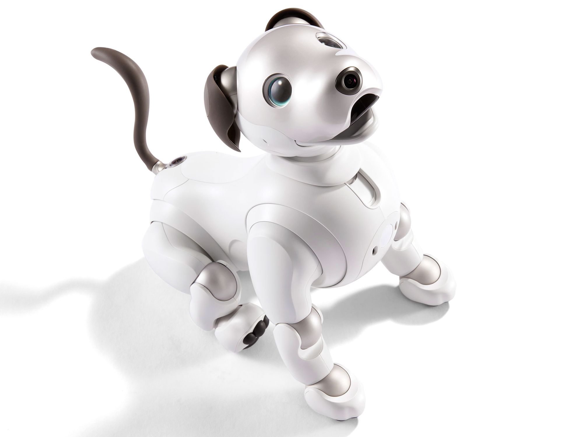 Aibo - ROBOTS: Your Guide to the World of Robotics