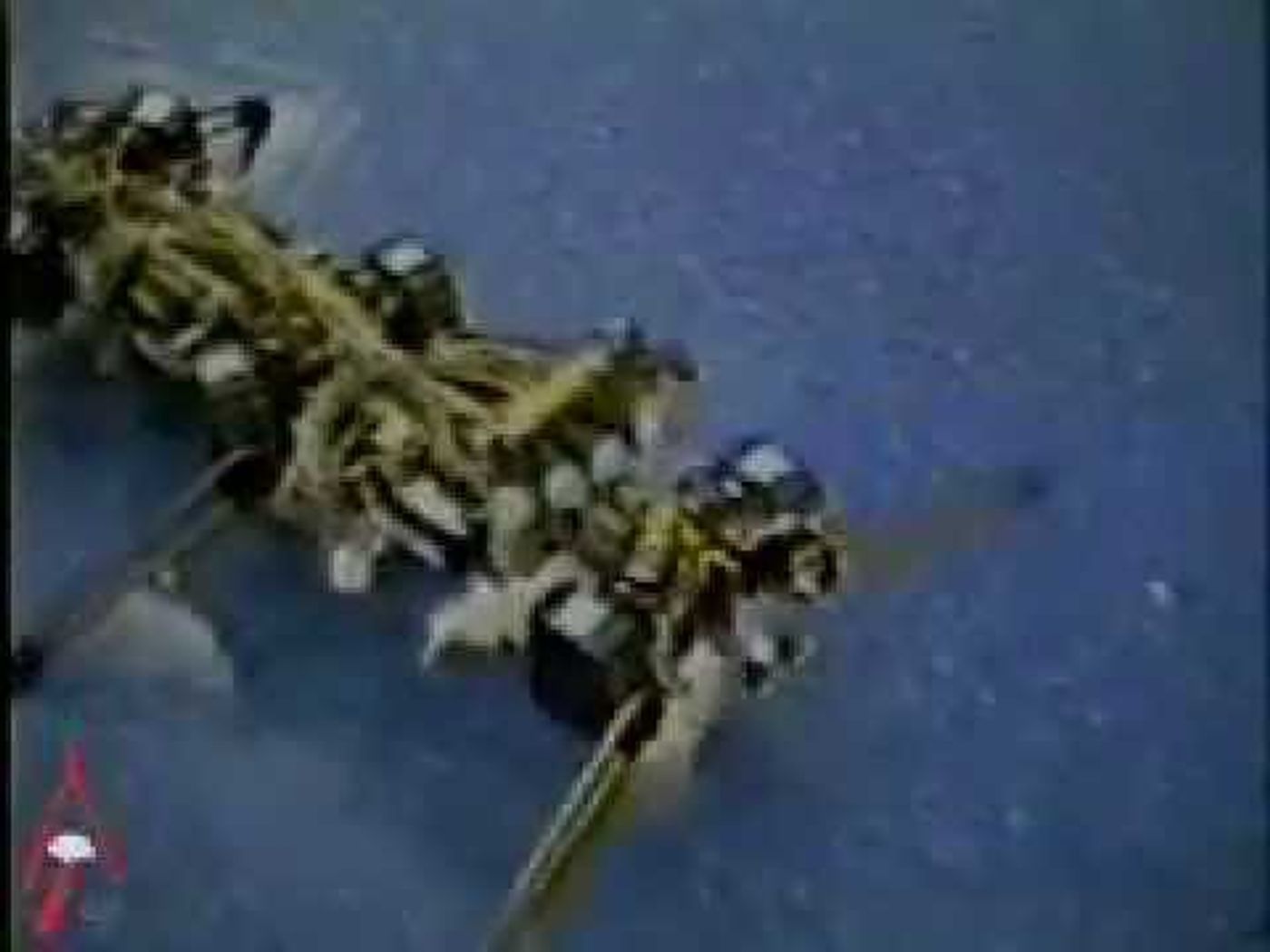 Genghis - ROBOTS: Your Guide to the World of Robotics