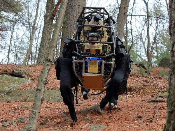 AlphaDog - ROBOTS: Your Guide to the World of Robotics
