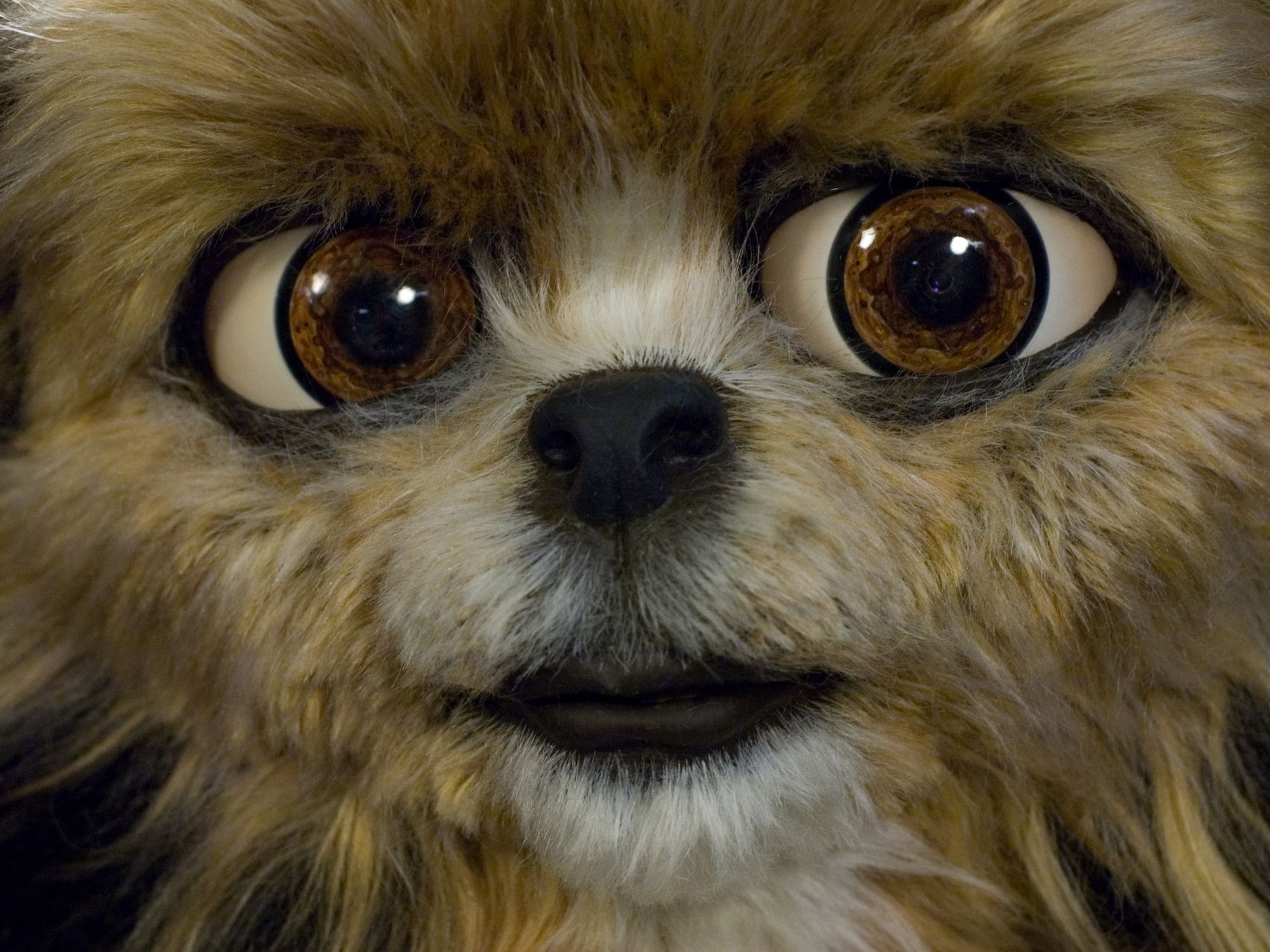 Leonardo - ROBOTS: Your Guide to the World of Robotics