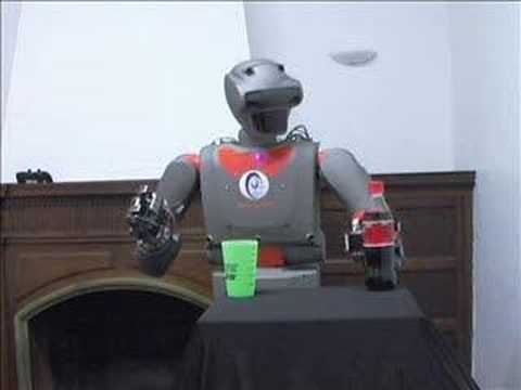 REEM-B - ROBOTS: Your Guide to the World of Robotics