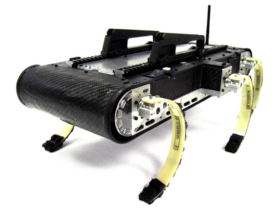 BigDog - ROBOTS: Your Guide to the World of Robotics