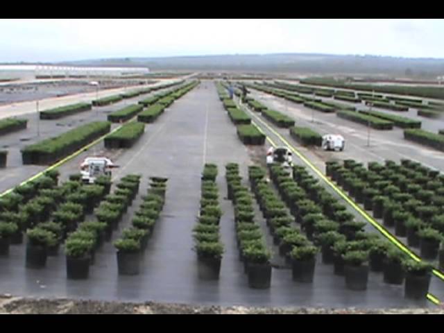 Harvey - ROBOTS: Your Guide to the World of Robotics