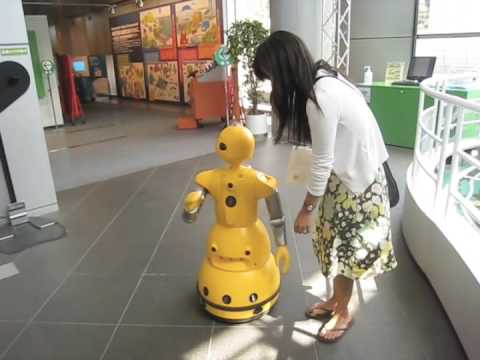 Wakamaru - ROBOTS: Your Guide to the World of Robotics