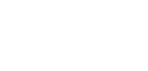 Hubo 2 - ROBOTS: Your Guide to the World of Robotics