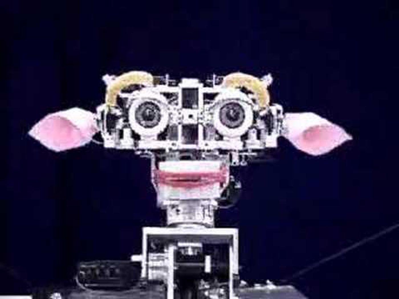 Kismet - ROBOTS: Your Guide to the World of Robotics