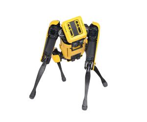 Spot - ROBOTS: Your Guide to the World of Robotics