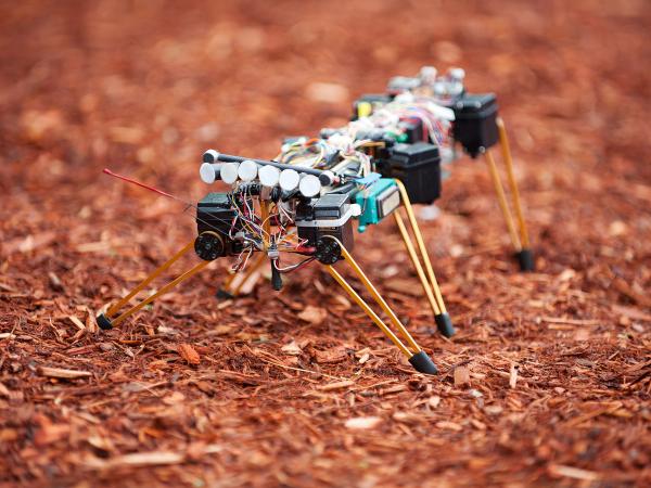 Genghis - ROBOTS: Your Guide to the World of Robotics