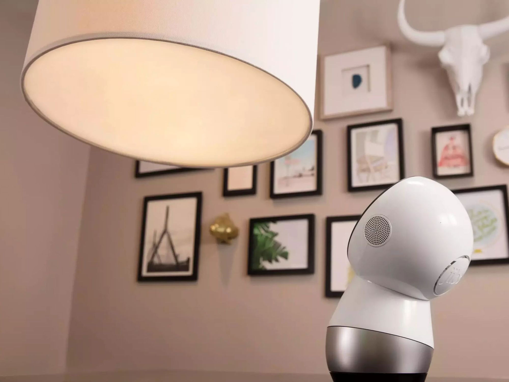 Jibo - ROBOTS: Your Guide to the World of Robotics