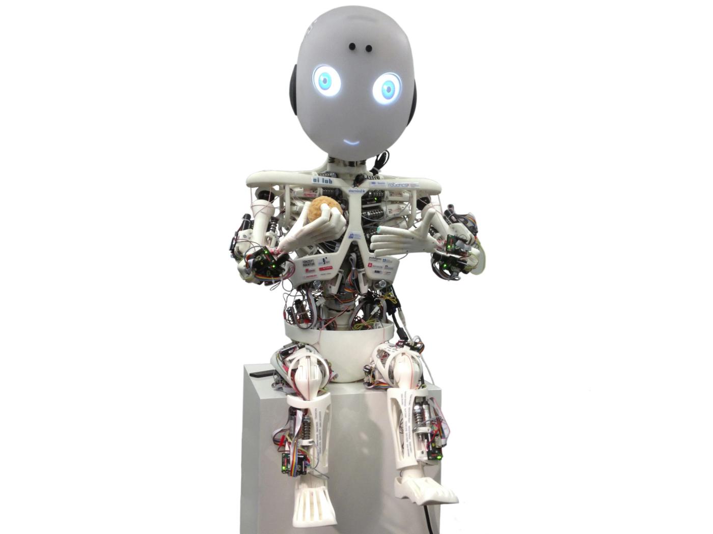Roboy - ROBOTS: Your Guide to the World of Robotics