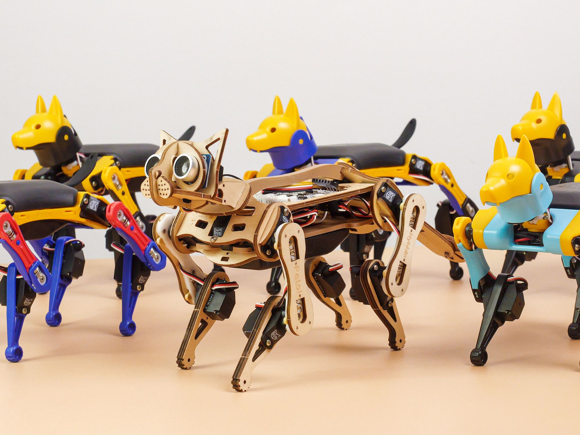 Nybble - ROBOTS: Your Guide to the World of Robotics