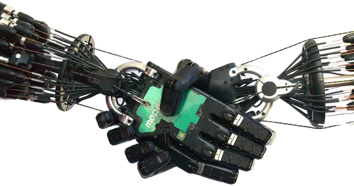 Shadow Hand - ROBOTS: Your Guide to the World of Robotics