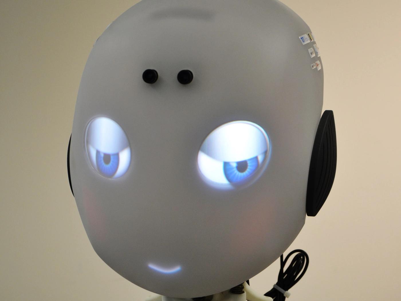 Roboy - ROBOTS: Your Guide to the World of Robotics